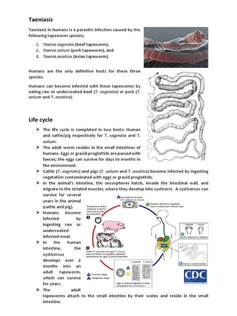 Taeniasis Pdf