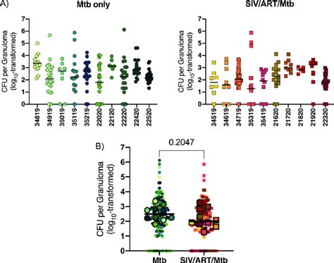 Bacterial Burden In Individual Granulomas A Cfu Per Granuloma By