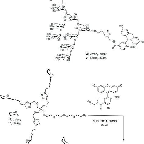 Scheme 4 Synthesis Of Fluorescence Labelled Compounds 20 21 22 And 23
