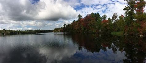 Being A Basic Girl In The Fall Basic Girl Color Of Life Things To Come