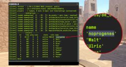 How To Vote Kick Yourself In CS Easy Guide