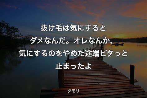 抜け毛は気にするとダメなんだ。オレなんか、気にするのをやめた途端ピタっと止まったよ タモリ