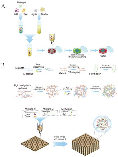 Bioengineering Special Issue 3d Bioprinting For Personalized Medicine
