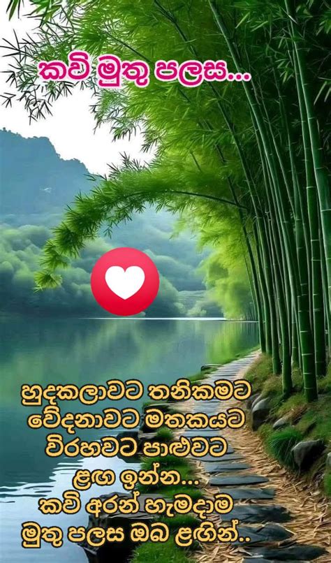 කවි මුතු පලස කවි මුතු පලස