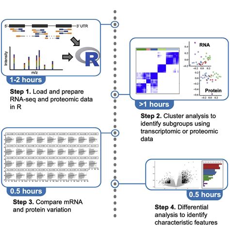 Cell Press Star Protocols