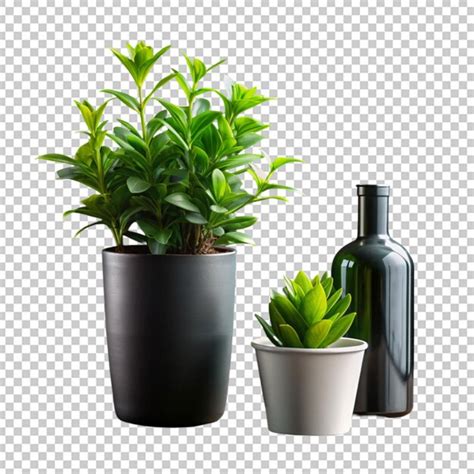 Isometric Plant Potted 3d Rendering Premium Ai Generated Psd