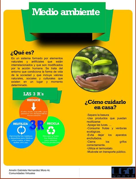 Infografía Medio Ambiente Pie Chart Chart