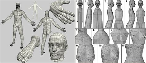 The Mannequin A Blog For Dummies Mannequin Modeling
