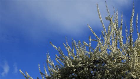 Existential Isolation And Human Connection Evolution Counseling