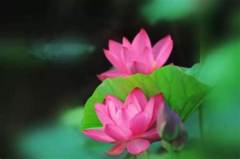 靜待花開，不等於撒手不管孩子 每日頭條