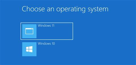 dual boot windows 10 and 11 on separate hard drives