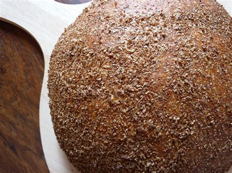One Bread A Day Jim Laheys Revolutionary No Knead Bread