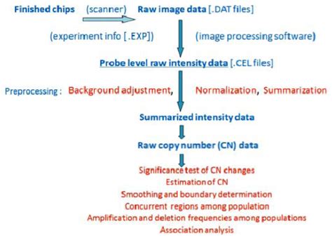The Protocol Of Cnvs Identification From Snp Intensity Data Files Cel Download Scientific