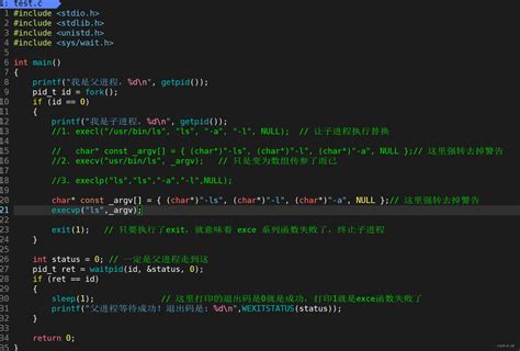 零基础linux11进程进程程序替换实现简单的shelllinux程序 Csdn博客