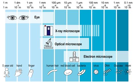 Which Micro 3d Imaging Technique Is Right For Me