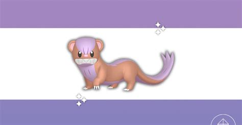 Can Yungoos Be Shiny In Pokémon Go Polygon