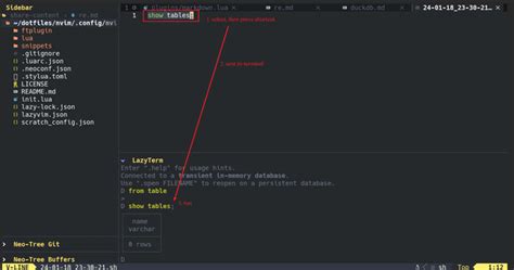 Nselectedtext In Vscode R Neovim