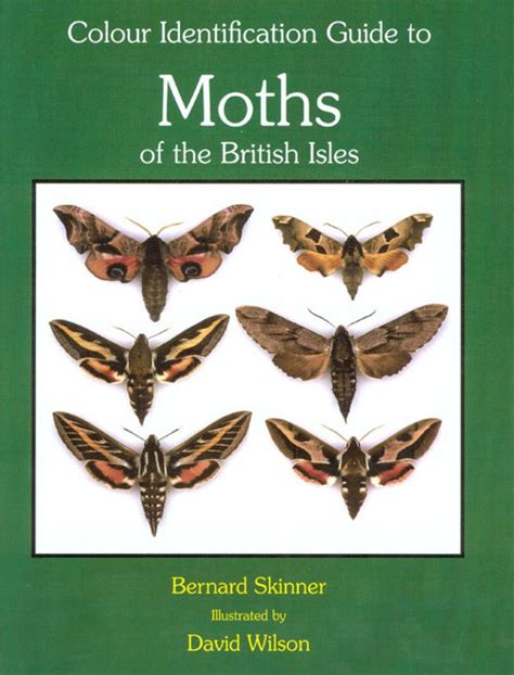 Colour Identification Guide To Moths Of The British Isles Nhbs Field