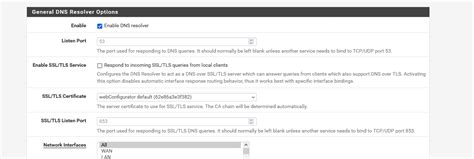 New Update Package DNS Problem Netgate Forum