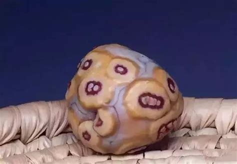 戈壁瑪瑙的美態你懂得欣賞嗎 每日頭條