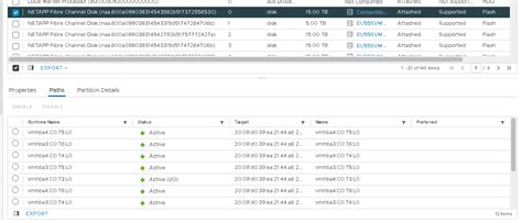 Number Of Paths Different Across Esxi Vsphere Storage Appliance