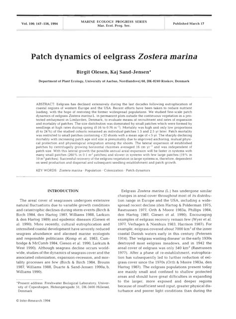 Pdf Patch Dynamics Of Eelgrass Zostera Marina