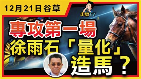 【中佬賽馬貼士】（12月21日 谷草夜宴）專攻第一場賽馬！徐雨石「量化」造馬 就係呢匹機會馬賽馬賠率 賽馬直播 賽馬貼士冷馬過關