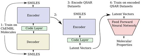 improving chemical autoencoder latent space and molecular de novo
