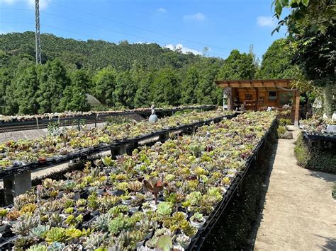 繞山花三和青創基地的菜單、評論、圖片桃園市龍潭區好吃、cp值超高的餐廳 愛玩記