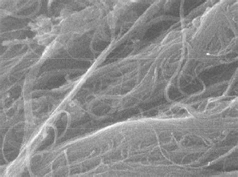 Mse Pro High Purity 95 Wt Hydroxylate Single Walled Carbon Nanotube Floating Catalyst