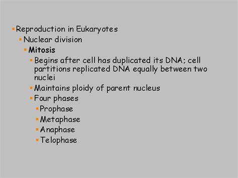Chapter 12 Characterizing And Classifying Eukaryotes Five Major