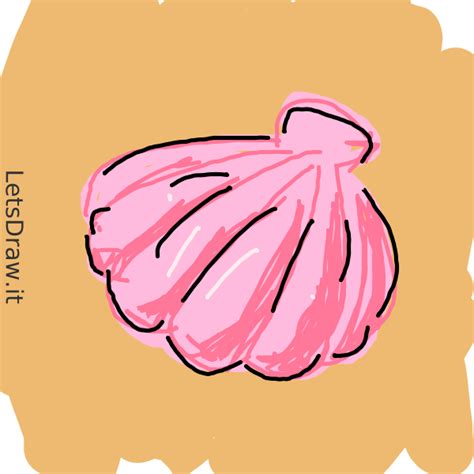 How To Draw Seashell Mo588z3xk Png LetsDrawIt