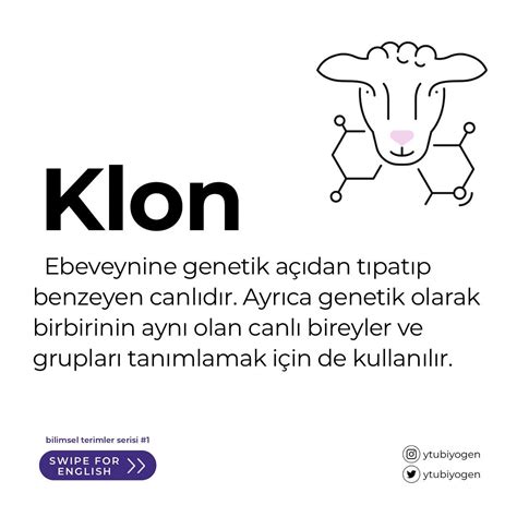 Dictionary Layout Behance