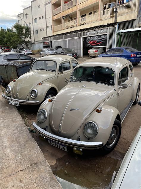 Because… Twins R Beetle
