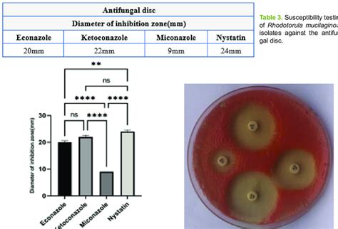 Quantitative Measurement Of Inhibition Zone For Rhodotorula
