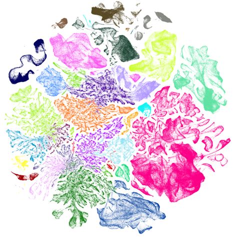 Whole Mouse Brain Atlas Brain Cell Data Center Bcdc