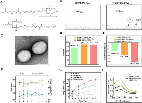Characterization Of Lipidosome A A Schematic Diagram Of The Synthesis