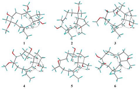 Marine Drugs Free Full Text Six Undescribed Capnosane Type