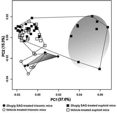 Results Of Pca Based On Procrustes Coordinates Of 41 Cranial Landmarks Download Scientific
