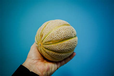 Foto De Stock Gratuita Sobre Agarre De La Mano Agricultura Sostenible