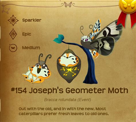 A Flutter Starlight Journey