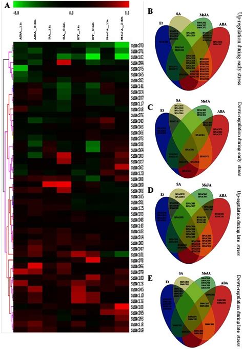 A Hierarchical Clustering Of Differential Gene Expression In Response