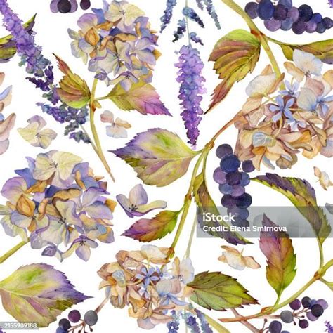 손으로 그린 수채화 그림 초라한 Boho 식물 꽃 잎 Hortensia 수국 베로니카 갈매 나무속 엘더베리 열매 흰색에 고립 된 원활한 패턴 디자인 결혼식 선물 종이 층층