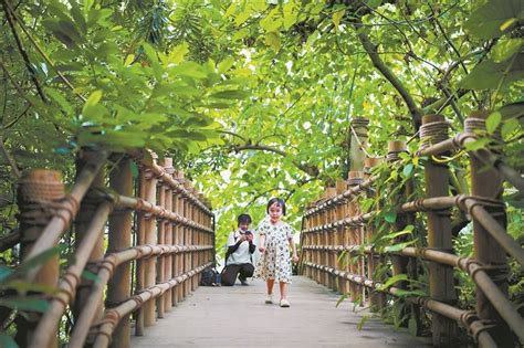华南国家植物园迎来揭牌两周年 2449种引种物种落户植物园建设科普国际