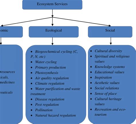 Classification Of An Ecosystem Eschool
