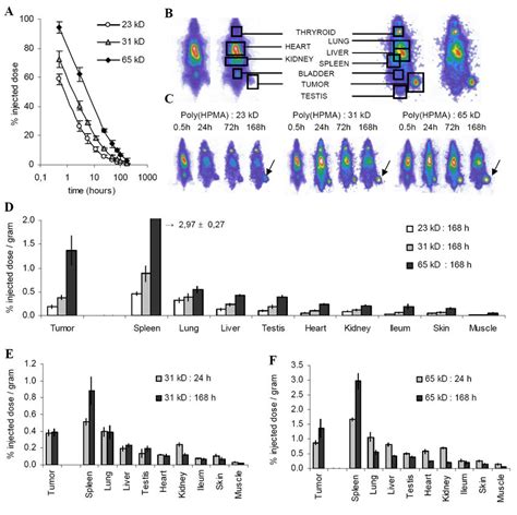 Effect Of Increasing The Average Molecular Weight Of Hpma Copolymers