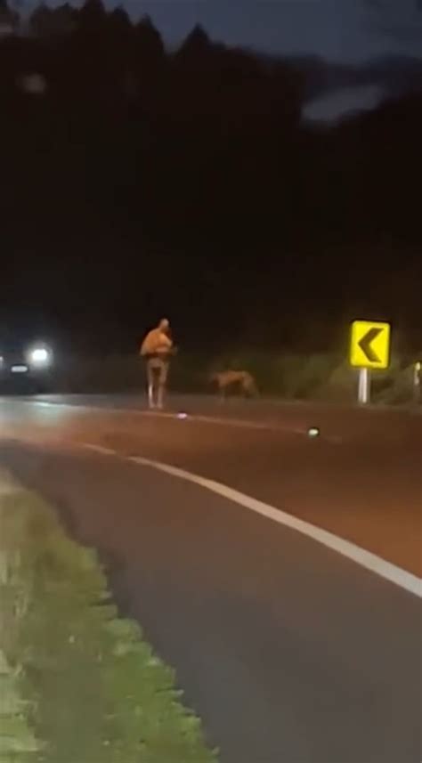 Steven Cranston Death Police Appeal For More Information As Investigation Continues Nz Herald