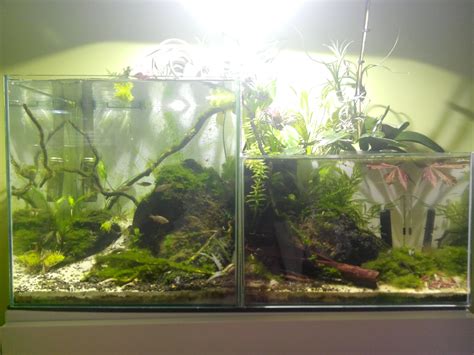 Nano Playground Page 2 The Planted Tank Forum