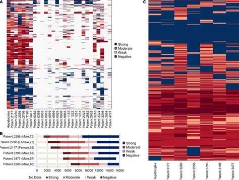 Proteomics Data For HCC PatientsClustering Of The Generated Download Scientific Diagram