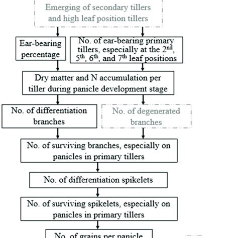 The Way For Optimized Nitrogen Application Increasing Rice Yield